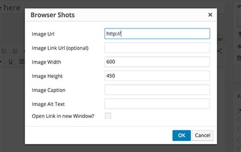 How To Create Automated Website Screenshots In WordPress