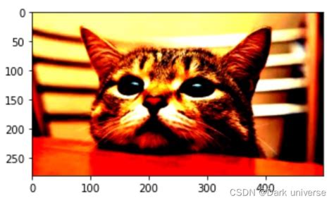 一只猫引出的数据增强 Data Augmentation Randombrightnesscontrast Csdn博客