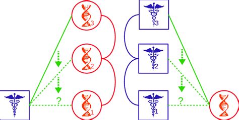 Collective Inference Predicted Interactions Can Be Used For Other Download Scientific Diagram