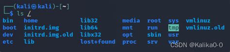 kali基础命令操作 kali linux怎么开启命令行 csdn博客