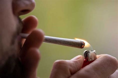 همه چیز درباره خطرات و عوارض ماری جوانا دکترنکست