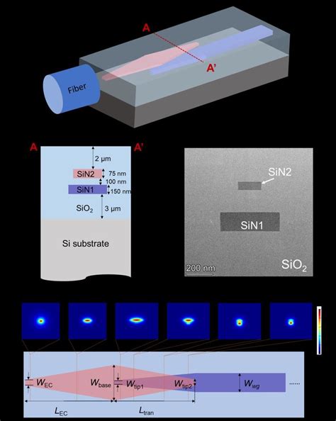A Three Dimensional 3 D Schematic Of A Bi Layer Sin Edge Coupler A