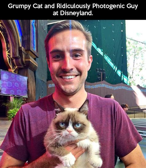 Disney Meme Meeting Grumpy Cat Know Your Meme