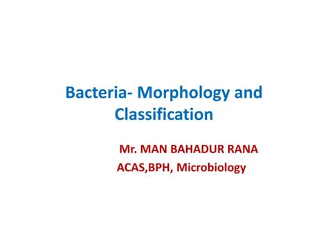 Bacteria Morphology And Classification Pptx