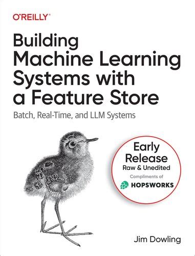 Building Machine Learning Systems With A Feature Store Early Release Pdfepub Version