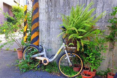 Aspnet Core Ui 元件開發利器 Razor Class Library 黑暗執行緒