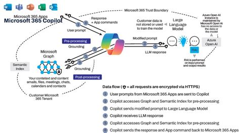 Microsoft 365 Copilot adoption insights - Symity