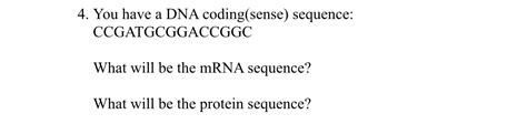 Solved You Have A Dna Coding Sense