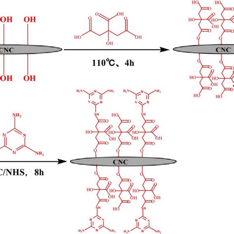 Schematic Diagram Of The Modified Cncs Download Scientific Diagram