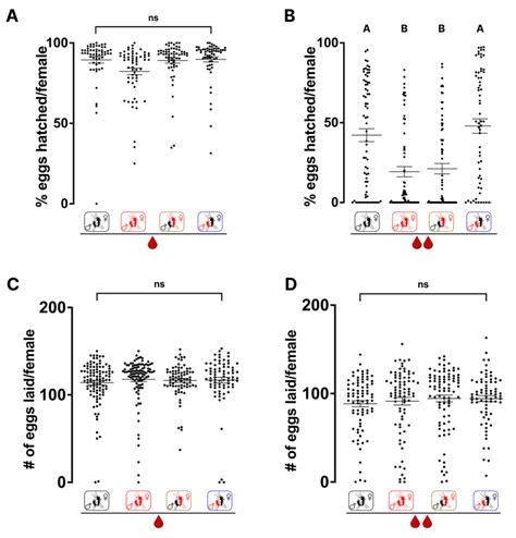 Figure S2 A Second Gonotrophic Cycle Maternal Effect Fertility Download Scientific Diagram