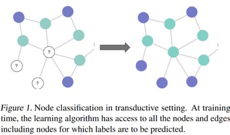 Graph Neural Networks Transductive Vs Inductive