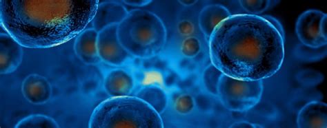 How Does Stem Cell Therapy Work Stemedix