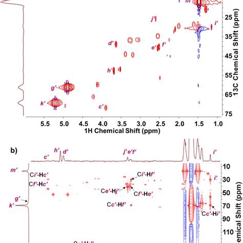 A 1 H 13 C Hsqc Hsqc Dept 2d Nmr And B 1 H 13 C Hmbc 2d Nmr Of