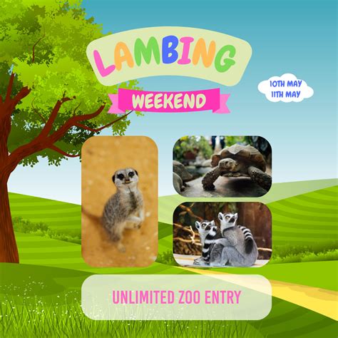 Oaklands College Lambing Weekend May 2025