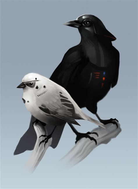 Star Wars Bird Art The Dark Side Of The Flock — Geektyrant