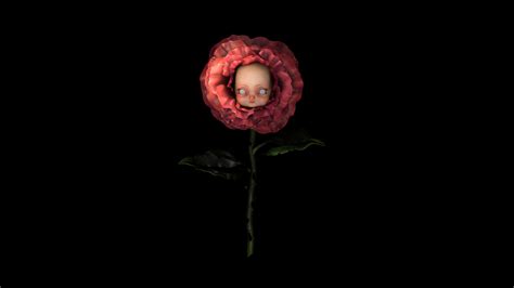 alice asset cloud