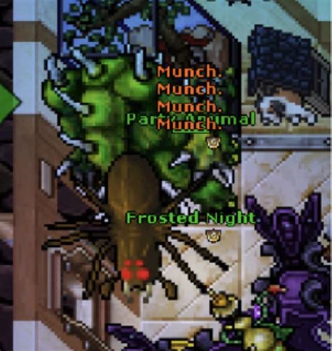 When You Havent Had Booty Irl In A While So You Get Some In Tibia R Tibiammo