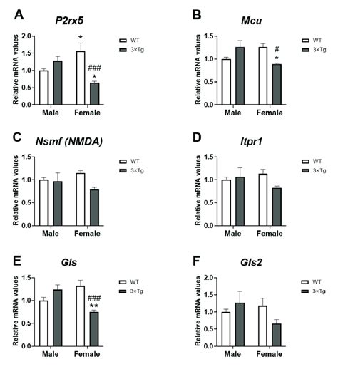 Ca 2 Signaling Mrna Expression P2rx5 A Mcu B Nsmf C Itpr1