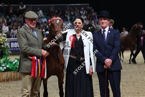 Bd31765 2024 1st Class Images