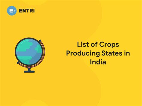 List Of Crops Producing States In India State Wise Crop Production