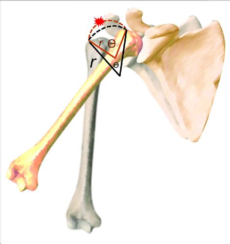 Illustration of the association between the rotation angle Ѳ and Download Scientific