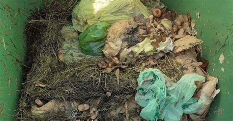 Disgusting Things People Dump In Garden Waste Bins That They Shouldnt Derbyshire Live