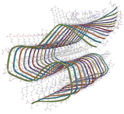 Three Dimensional Ribbon Structure Of The 42 Residue Amyloid β Fibril Download Scientific