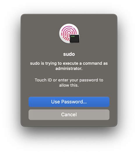 The Ultimate Terminal Setup For Macos Tips Tricks And Customizations