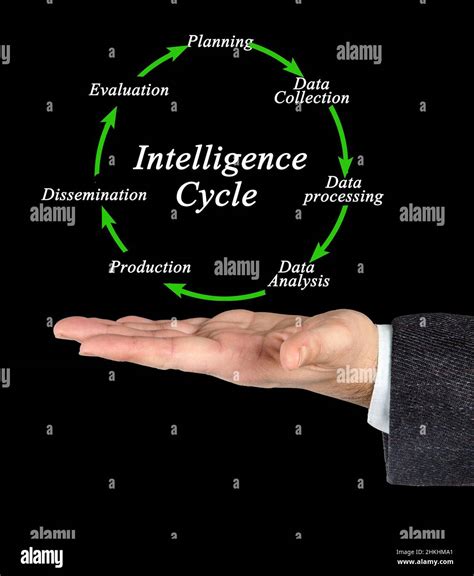 Intelligence Cycle Chart Intelligence Cycle Chart