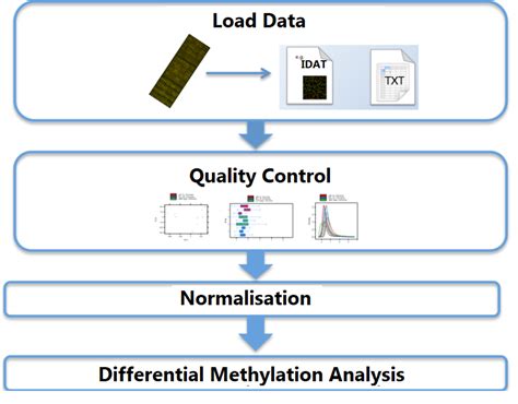 Github Tazinrahman1105050dna Methylation Dna Methylation Analysis