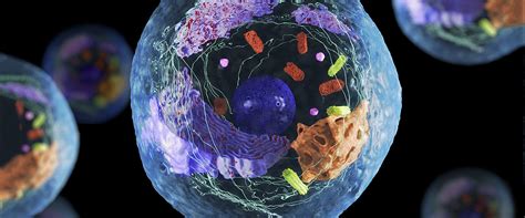 The Fascinating World Of Cellular Processes