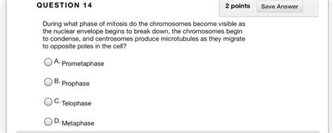 solved question 12 2 points save answer cell signaling by