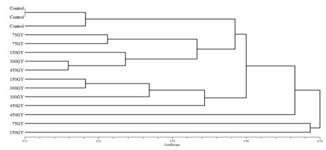 dendrogram of m2 population based on issr and rapd primer download