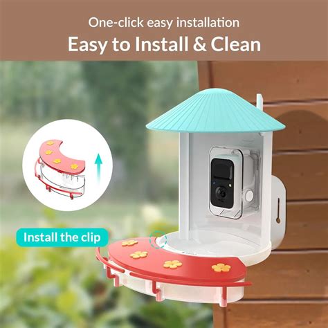 netvue birdfy hummee takes hummingbird watching to a new level issuewire