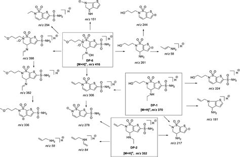 Proposed Fragmentation Pattern For Dp 1 Mz 370 Dp 2 Mz 352 And