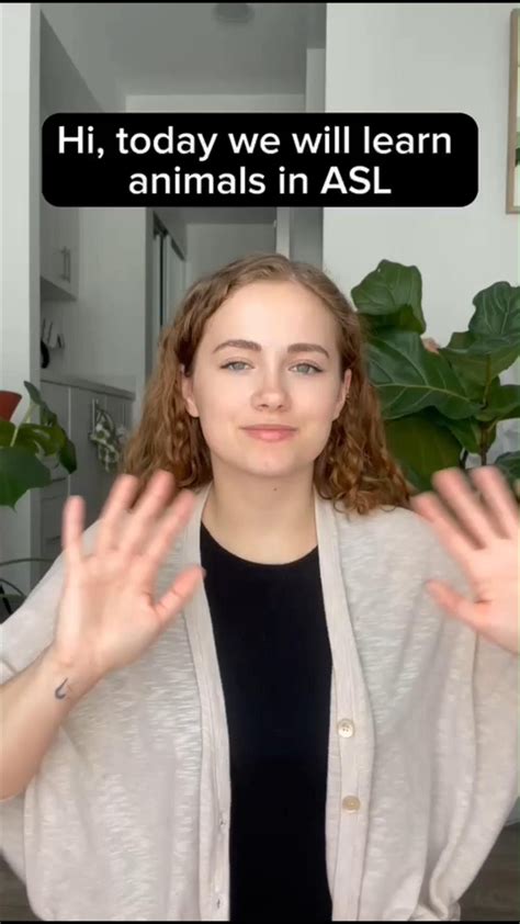 37 Sign Language Ideas Sign Language Asl Sign Language Words Sign Language Words