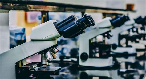Different Types Of Laboratory Microscopes And Their Functions Microscope And Laboratory