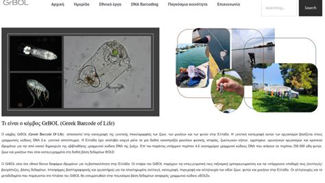 metabarcoding and metagenomics