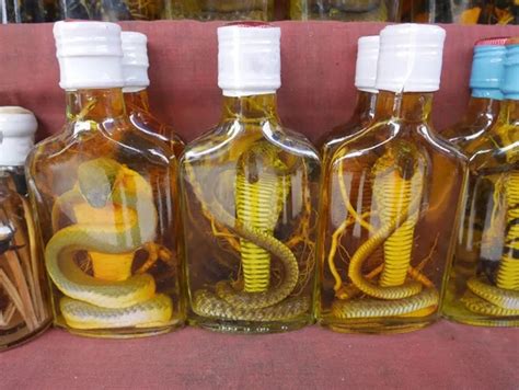 Snake Wine The Complete Guide To Vietnams Legendary Drink Izitour