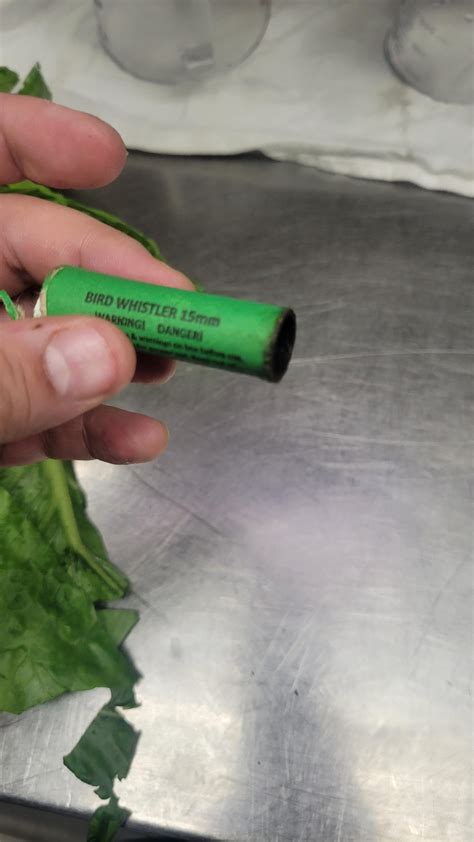 Whats The Weirdest Thing Youve Found In Your Produce Ill Go First Rkitchenconfidential