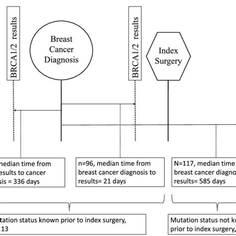 Schematic Diagram Demonstrating Timeline Of Genetic Testing Download Scientific Diagram