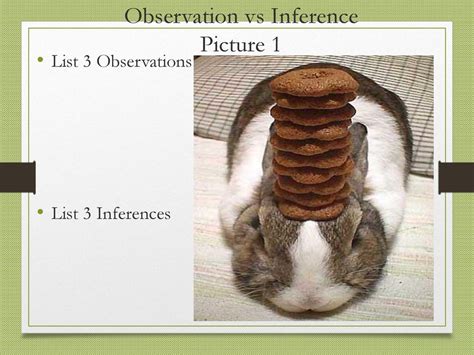 Making Observations And Inferences Ppt Download Making Observations And Inferences Ppt Download
