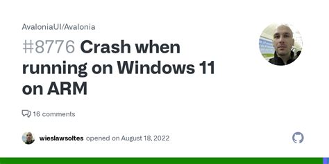 Crash When Running On Windows 11 On Arm · Issue 8776 · Avaloniaui