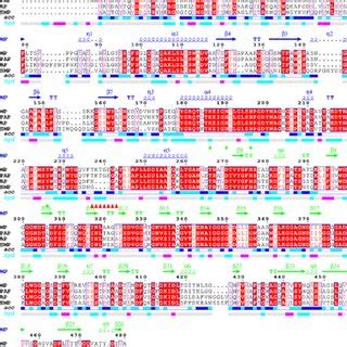 Sequence Alignment For MP PAP AP And SMP Download Scientific Diagram