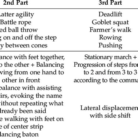 Functional Training And Dual Task Training Program Description Download Scientific Diagram