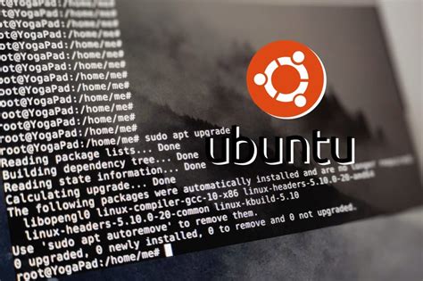 Ultimate Zsh Terminal Setup For Ubuntu By Connect Platform Medium