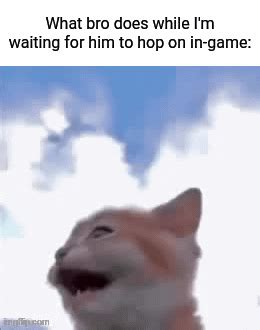 Field Frolicking Imgflip