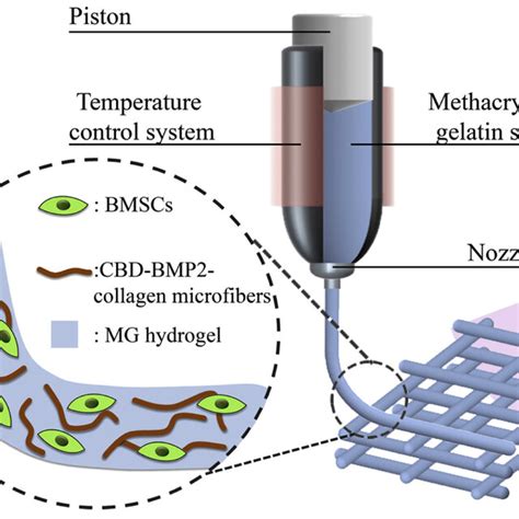 Fabrication Of 3d Scaffolds Using Customized 3d Printer A 3d Printer Download Scientific