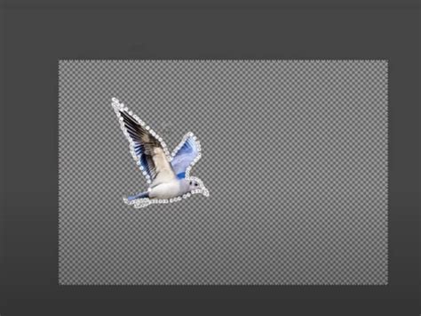 How To Remove Background In Gimp 5 Methods Unlimited Graphic Design