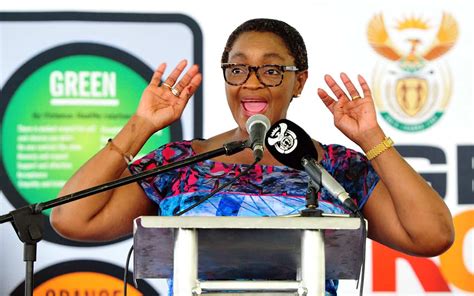 Bathabile Dlamini Details Of Her Criminal Charges And The Possibility